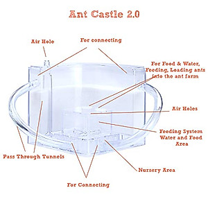 NAVADEAL Sand Ant Farm with Connecting Tubes, Habitat Educational & Learning Science Kit Toy for Kids & Adults - Allows Study of Ecosystem, Behavior of Ants, Explore The World at Home and School