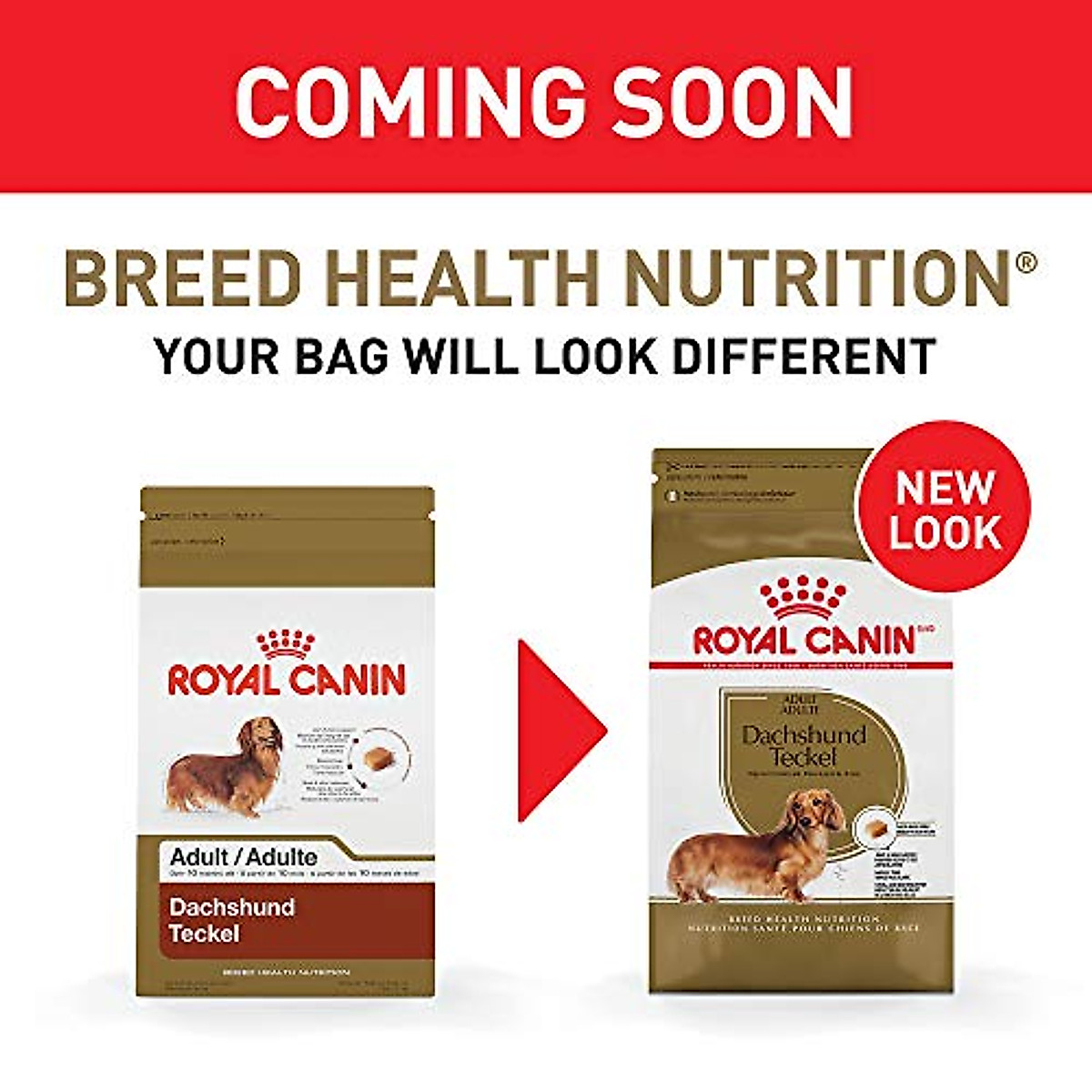 Royal Canin Dachshund Adult Breed Specific Dry Dog Food, 10 lb bag