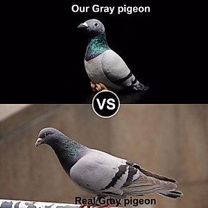 Grey Pigeon Plush Toy - Simulation Rock Columba Rupestris Stuffed Animal, Cute Rock Pigeon Plush Toy as Gift for Your Friends