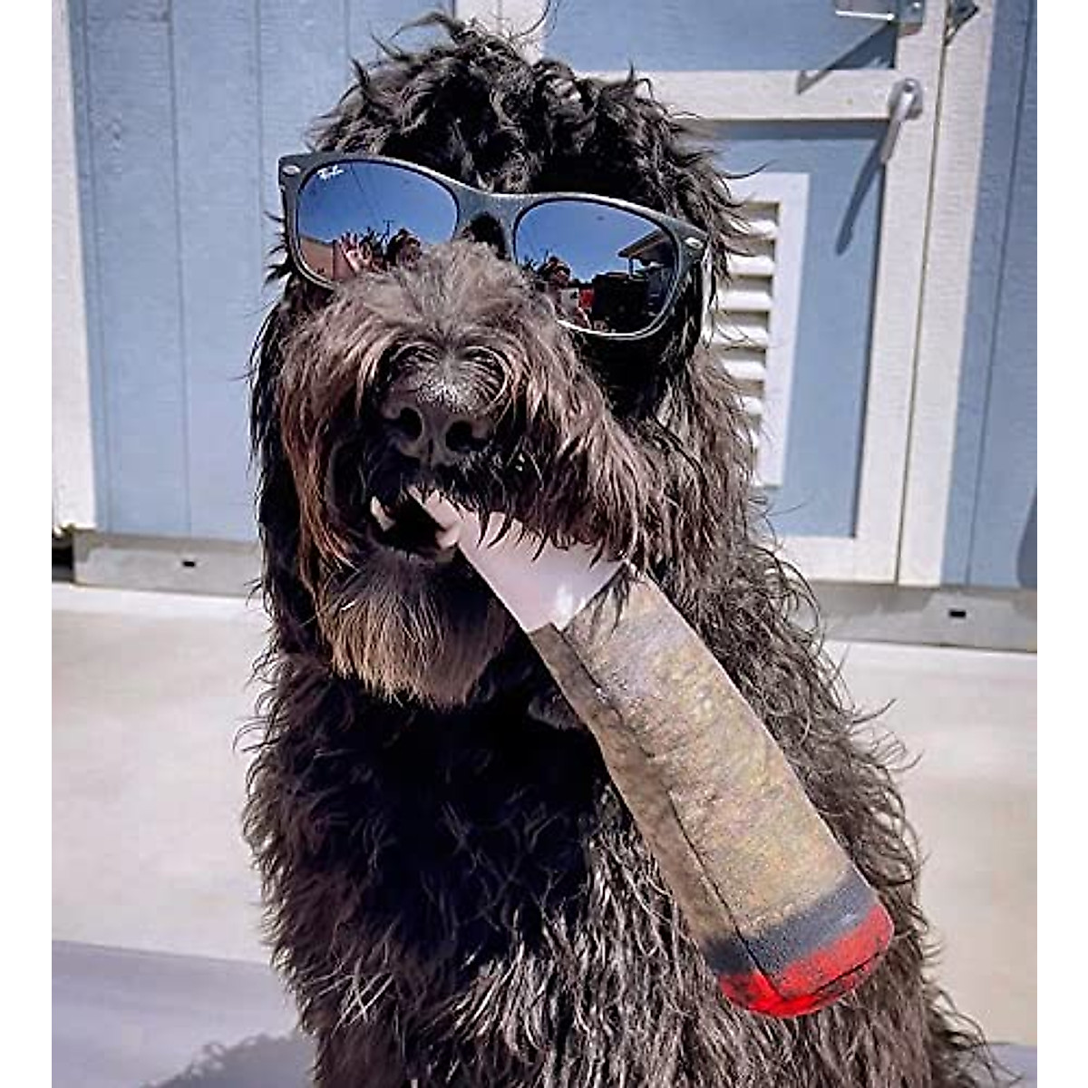 Nestpark Doggy Doobie - Funny Dog Toys - Plush Squeaky Dog Toys for Medium, Small and Large - Cute Dog Gifts for Dog Birthday - Cool Stuffed Dog Toys