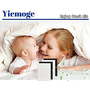 Yiemoge 116130 Replacement filter H: Compatible with winix 5500-2 Air Purifier - 2pack TURE HPEA filters + 2pack Activated Carbon Filters