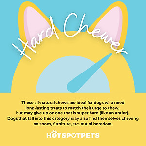 hotspot pets Small Premium Deer Antler for Dogs (3 Pack) - 4-8 Inch Long Lasting Antler Dog Chews Naturally Shed Deer Antlers Bone for Small & Medium Breed Aggressive Chewers - Sourced in USA