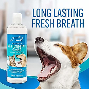 EBPP Advanced Pet Dental Care Water Additive - Premium Cat & Dog Dental Care and Dog Breath Freshener - No Brush Formula Tartar & Plaque Remover for Dogs Teeth