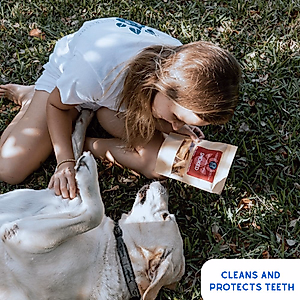 Redbone Nutrition Pet Hemp Dental Chews - Fish-Oil Based Pet Dental Chews for Dogs - CLEANS TEETH, DOG DENTAL CARE, Stress Relief, Dog Joint Pain Relief - Natural Dog Chews. (Natural Flavor)