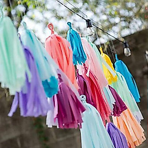 35Pcs Rainbow Tassel Garland Tissue Paper Tassel Banner Decoration for Wedding, Baby Shower,Birthday, Group Activities and Games