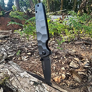 Carimee Pocket Knife 3.3", Solid D2 Steel Blade, Heavy Thick FineCNC machianed Handle, Fully Ti-coated,premium EDC Gifts