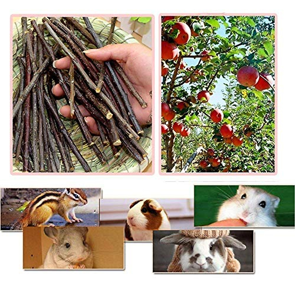 William Craft Apple Sticks Pet Chew Toy Treats for Chinchilla Guinea Pigs Rabbits Squirrel Hamster Bunny