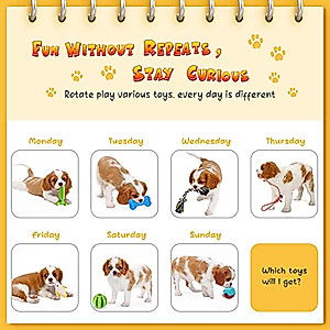 KIPRITII Chew Toys for Puppy ,Teething ,Boredom, 20 Pack Pet Toothbrush Chew Toys with Rope Toys, Treat Balls and Squeaky Toy for Small Dogs