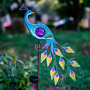 Stargarden Metal Solar Peacock Garden Stake, Garden Lights Solar Powered Waterproof Landscape Path Lights Outdoor Decorations for Pathway Patio Yard Lawn (Purple Ball)