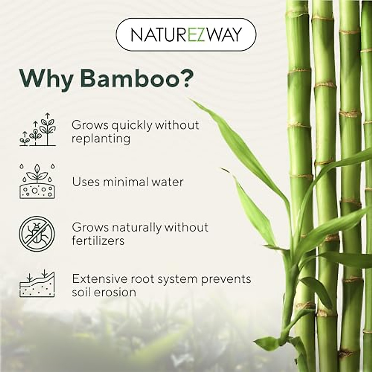 NatureZway - Elevate Your Bathroom Experience with Eco-Friendly Bamboo Toilet Paper (24 PACK) - 2-Ply, Tree-Free, 100% Bamboo Pulp, Strong, Clog-Free, and Septic Safe - Ultra Soft White