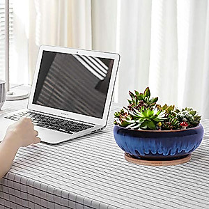 SQOWL 7 Inch Round Ceramic Succulent Planter Pot Drip Glazed Shallow Planter with Drainage Bamboo Tray for Indoor Plants