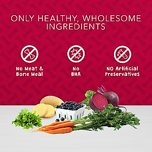 Blue Buffalo Bones Natural Crunchy Dog Treats Large Dog Biscuits Beef, 16oz. Bag, 4 Count