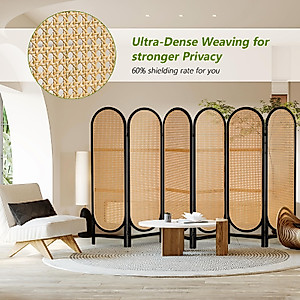 Leesinwing 6 Panels Room Dividers and Folding Privacy Screens, Hand-Woven Rattan Room Divider Wall, Wood Room Divider Freestanding Room Partitions Screen for Home Office Bedroom, Black
