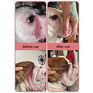 GJYC PET Wrinkle Wipes + Wrinkle Balm for Dogs | Bulldog, French Bulldog, Pug, English Bulldog | Cleans & Soothes Wrinkles, Folds, Tear Stain, Tail Pockets & Paws