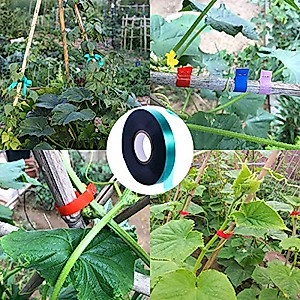 2 Rolls Stretch Tie Tape Garden Tie Tape Thick Plant Ribbon Garden Green Vinyl Stake for Indoor Outdoor Patio Plant Use, 1 Inch Wide by 150 Feet Long