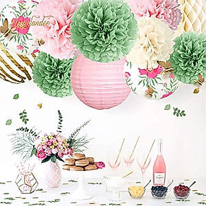 NICROLANDEE 12PCS Green Pink Blooms Tissue Pom Poms Paper Lantern 3D Gold Confetti 50G for Garden Birthday, Fairy Party, Butterfly Baby Shower, Wedding, Holiday, Easte Party, Spring Decor