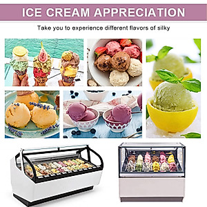 Mvckyi Commercial 40L/H Hard Ice Cream Machine, Fast Cooling Ice Cream Sorbet Making Machine, Stainless Steel Gelato Maker Machine Italian Gelato Batch Freezer for Restaurant Kitchen Equipment