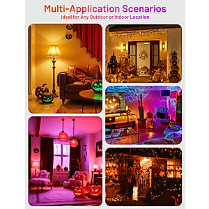 MCDYLUK LED A19 Purple Light Bulbs, 9W (60W Equivalent), E26 Base LED Purple Bulb, Non-Dimmable, Halloween Decoration, Party Decoration, Porch, Front Door, Home Lighting, Holiday Lighting, Pack of 3
