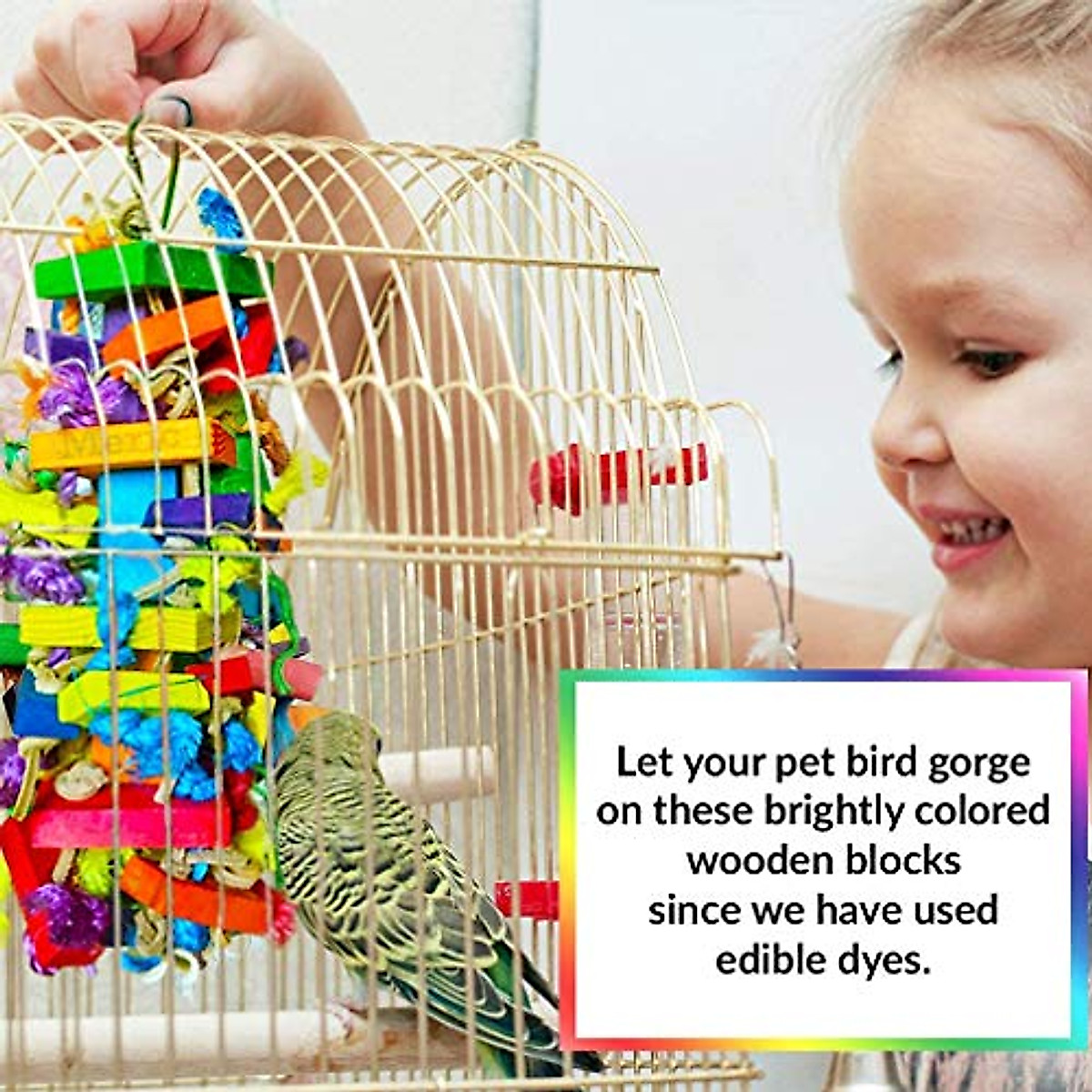 Meric Block Toy for House Birds, Nibbling Keeps Beaks Trimmed, Preening Keeps Feathers Groomed, Edible, Food-Grade Multicolored Wooden Blocks, 1-pc