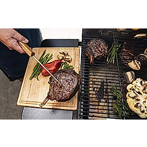 Traeger Pellet Grills BAC533 BBQ Pig Tail Accessory, Silver with Brown