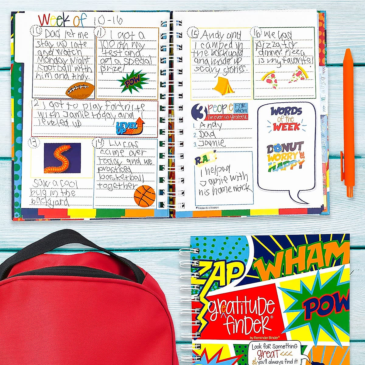 Denise Albright Gratitude Finder® 52 Week Non-Dated Journal for Boys with 177 Totally Cool Hand-Illustrated Stickers (Super Kiddo)