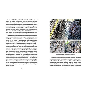 Shilajit: The Ayurvedic Adaptogen for Anti-aging and Immune Power