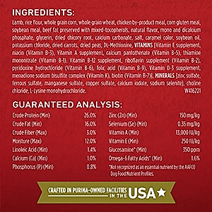 Purina ONE Dry Dog Food Lamb and Rice Formula - 16.5 lb. Bag
