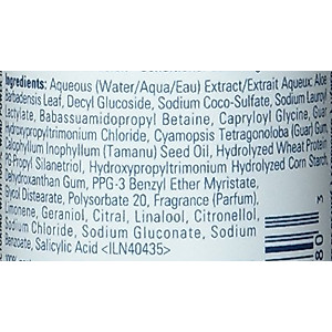 Aveda Smooth Infusion Shampoo, 8.5-Ounce Bottle