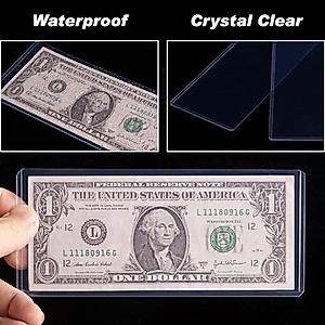 Display Zone Regular Dollar Bill Currency Toploads, Protective Paper Money Sleeves for Collectors, Crystal Clear Plastic Holders for Cash, 40-Count