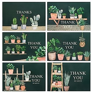AnyDesign Home Plants Thank You Cards 36 Pack Succulent Cactus Note Cards with Matching Seal Stickers Envelopes Greenery Greeting Blank Cards for Birthday Baby Shower Wedding Bridal Party, 4 x 6