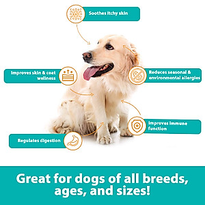 RestoraPet Allergy, Itch & Immune Soft Chews - Natural Supplement for Dogs - Support Immunity, Soothe Skin Irritation, Improve Coat Quality – with Lactoferrin, Colostrum & Omega 3-60 Bacon Chewables