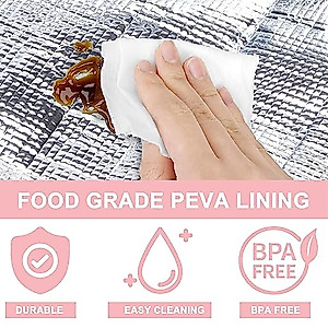 LOIDOU Lunch Box Kids Girls Insulated Lunch Bag Thermal Meal Tote Reusable Lunch Pail Bags for School Travel