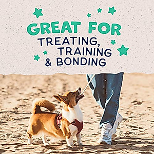 Natural Balance Limited Ingredient Original Biscuits | Chicken & Sweet Potato Grain-Free Dog Treats for Small-Breed Adult Dogs | 8-oz. Pouch