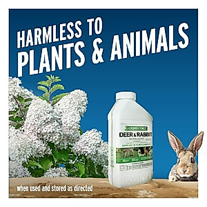Liquid Fence Deer And Rabbit Repellent Concentrate 32 Ounces, Apply Year-Round