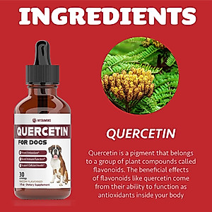 Quercetin for Dogs | Dog Allergy Relief | Quercetin for Dogs Allergies | Dog Allergy | Quercetin | Dog Allergy Support | Quercetin Dog | Dog Allergies | Quercetin Supplements | Bacon Flavor (2 Pack)