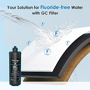 Waterdrop TSA 3-Stage Replacement Water Filter, Replacement for Waterdrop TSA & TSB & TSB-CM 3-stage Under Sink Water Filtration System, 2PP+GC