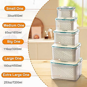 DOPHCOZFFY Airtight Fruit Storage Containers for Fridge with Removable Colander, Dishwasher Safe Produce Saver Container for Refrigerator (3 PCS fruit storage containers)