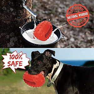 VANFINE Dog Toy, Squeaky, Indestructible, Tough, Durable Stick Chew Toy for Large Dogs, Puppies and Aggressive Chewers with Non-Toxic Natural Rubber (Medium/Large Dog, Football)