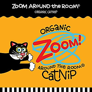 Doskocil Bamboo Pet CAM650037 2-Pack Fat Cat Springy Worms Catnip Toy