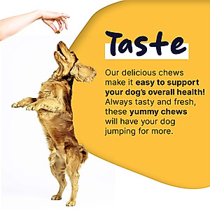 Dog Multivitamin Supplement - 120 Soft Chew Dog Vitamins and Supplements with Omega, Probiotics, Glucosamine, and More - for Small, Large, and Senior Dogs