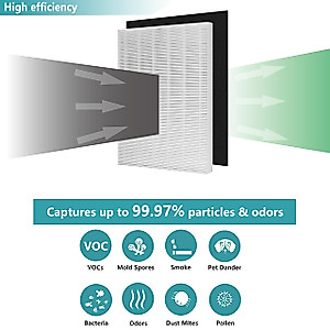 Lhari D360 True HEPA Replacement Filter D3 Compatible with Winix D360 Air Purifier, Item Number 1712-0101-02, 2 H13 True HEPA Filters with 8 Carbon Pre-filters