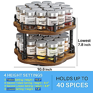 Lazy Susan Spice Rack Organization for Cabinet - Adjustable Height Lazy Turntable Spice Organizer for Countertop Kitchen Pantry Storage, 2 Tier 10 Inch Seasoning Organizer, Black