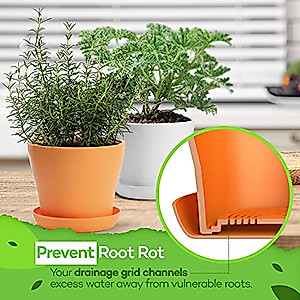 Deluxe Herb Garden Kit – Unique Gardening Gifts for Women - 8 Variety Culinary Herb Garden Kit Indoor & Outdoor – Cooking Gifts for Gardeners, Plant Gifts for Mom Who Has Everything This Christmas