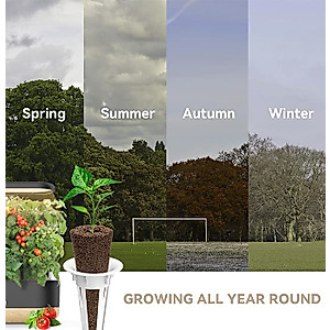 Herb Seed Starter Pod Kit Plant for idoo, Ahopegarden, and inbloom 10 Pods Hydroponics, Indoor Garden, 12-Pods (350+ Seeds Included Basil, Parsley, Oregano, Thyme, Mint, Cilantro, and Dill)