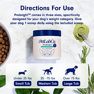 PetLab Co. – Breath & Joint Bundle: Dental Powder for an Effortless Clean in 1 Scoop for Medium Dogs & Joint Care Chews for Dogs Supporting Mobility & Occasional Joint Stiffness