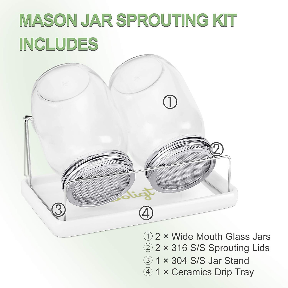 Complete Mason Jar Sprouting Kit - 2 Wide Mouth Quart Sprouting Jars with 316 Stainless Steel Sprouting Lids, Ceramic Drip Tray and Stand