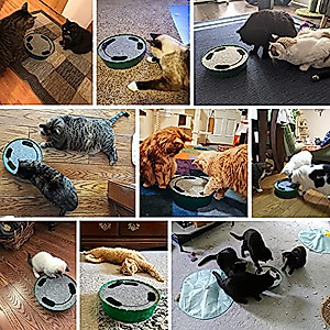 Pawaboo Cat Toy with Running Mouse, Electric Interactive Motion Cat Toy Automatic Rotating Teaser Pop and Play Hide and Seek Hunt Toy for Pet Cat Kitten Play Fun Excercise