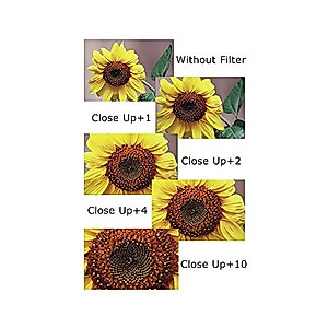 62mm Pro Series 4pc HD Macro Close Up Filter Set +1 +2 +4 +10 for Tamron AF18-270mm f/3.5-6.3 Di II VC PZD AF Lens, Tamron 18-200mm f/3.5-6.3 XR Di-II Macro Lens, Tamron SP 70-300mm f/4-5.6 Di VC USD