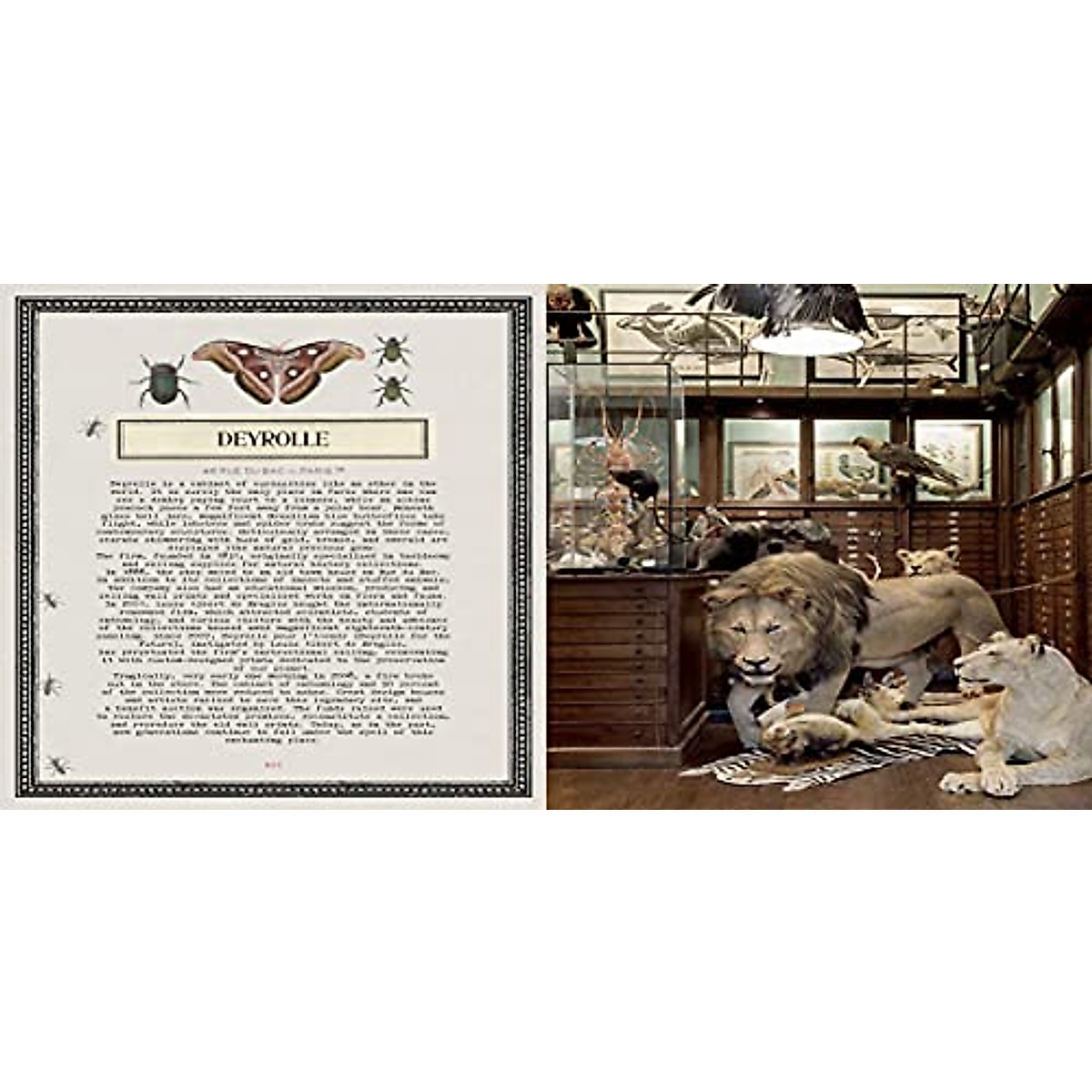 Timeless Paris: Ateliers Emporiums Savoir Faire