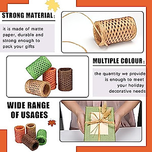 4 Roll Raffia Ribbon 1200 Feet Raffia Paper Ribbon Christmas Thanksgiving Gift for Gift Wrapping, DIY Craft, 300 Feet Each Roll(Green, Orange, Deep Brown, Light Brown)